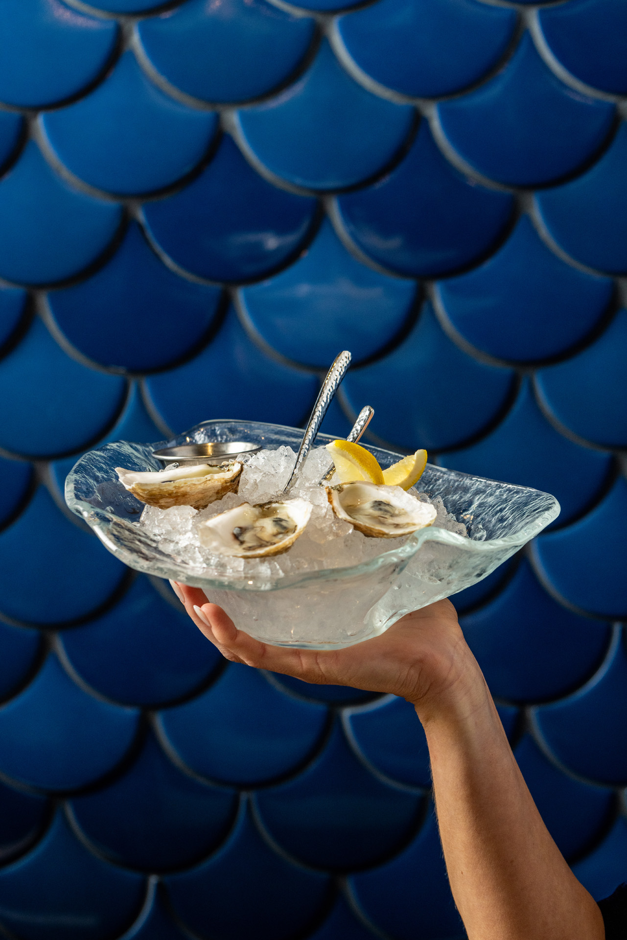 The Fresh List - Salt Water Social